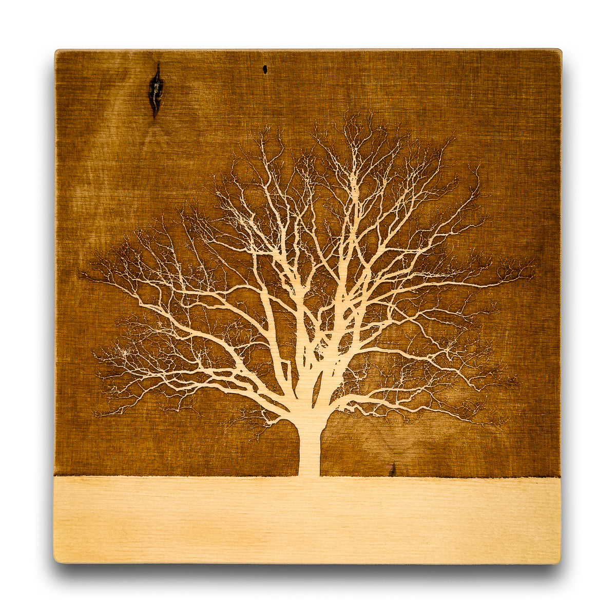 Tree Laser Engraving – Eric Zippe