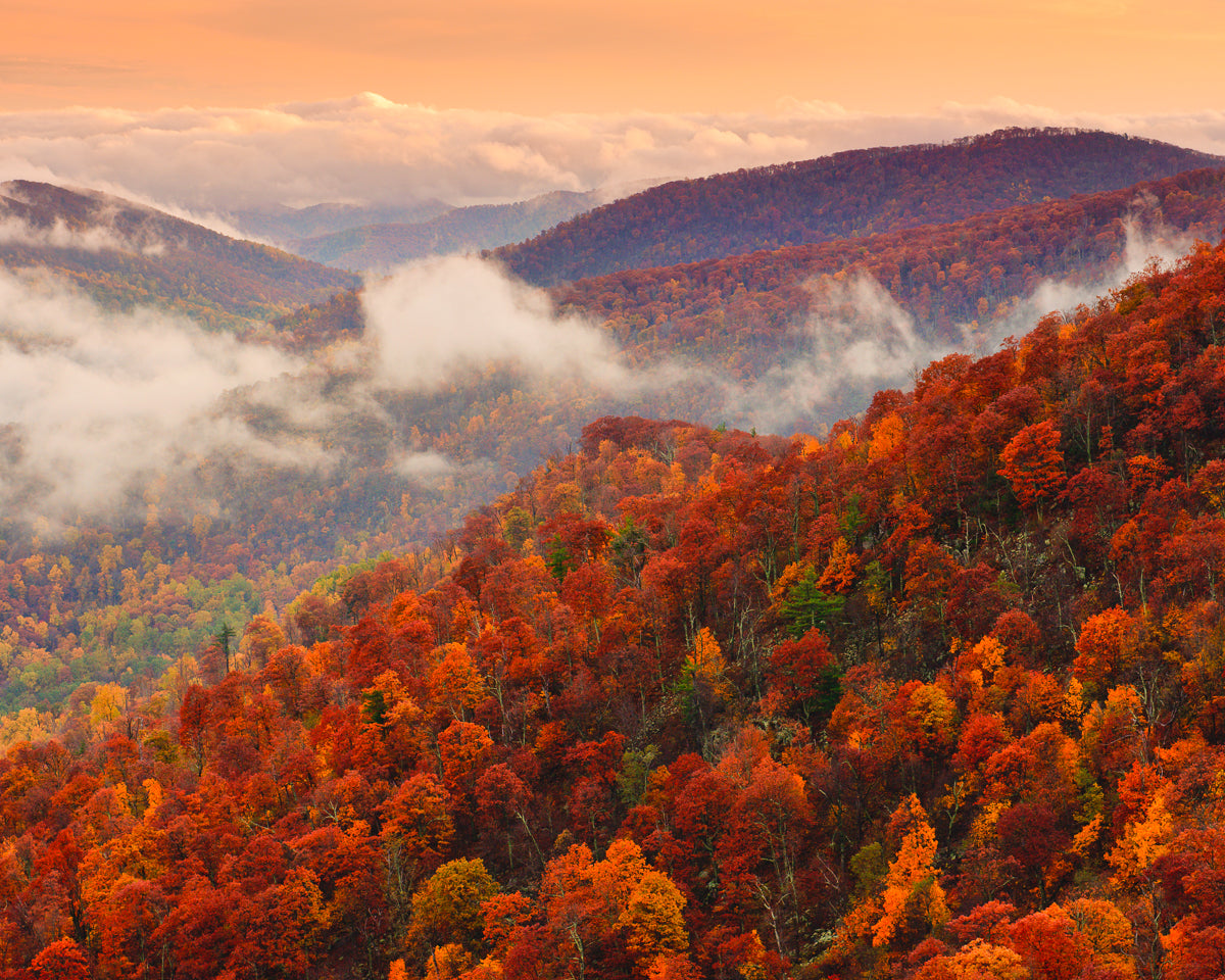 Landcape – Eric Zippe