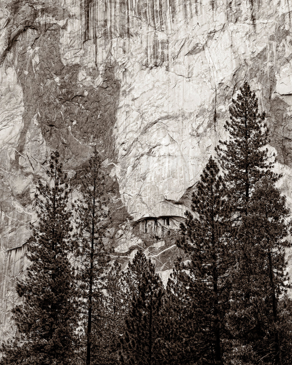 Yosemite National Park, California Photography, California Landscape W ...